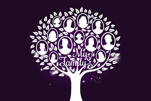 Settling Skaneateles: Tracing My Family Roots – Upstate Oasis Store