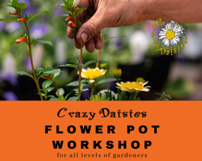 Flower Pot Workshop – Upstate Oasis Store